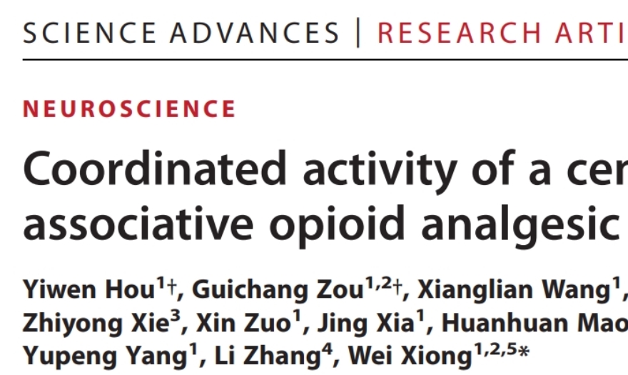 合肥综合性国家科学中心人工智能研究院
